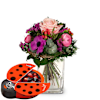 Buy/Send Sweet Surprise with Munz chocolate ladybird Online | IGP ...