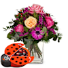Buy/Send Sweet Surprise with Munz chocolate ladybird Online | IGP ...