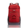 Buy/Send Uppercase Tall Boy Laptop Backpack 10A Red Online | IGP | JVS1276663