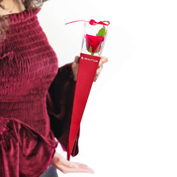 Buy/Send Beautiful Rose Cone Bouquet Online | IGP | JVS1395778