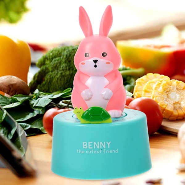 Buy/Send Bunny Mechanical Timer - Assorted - Single Piece Online | IGP ...