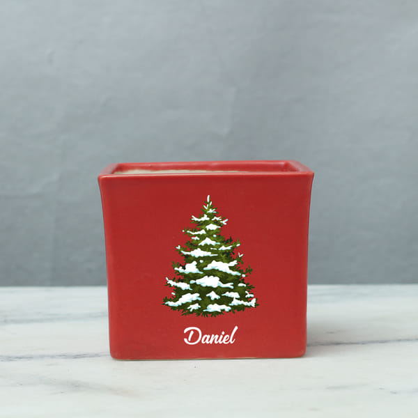 Christmas Themed Personalized Red Planter Pot: Gift/Send Home and ...