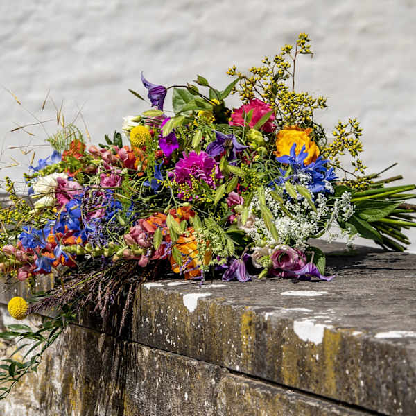 Buy/Send Colour splendor Online | IGP | NID1393029