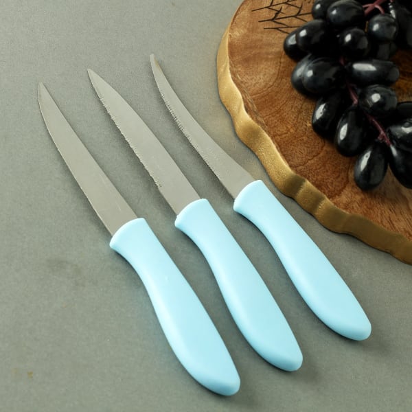 Buy/Send Cutting Knife Set of 3 For Kitchen Online | IGP | J11131025