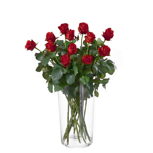 Buy/Send Dozen Red Roses Online | IGP | ID1281476