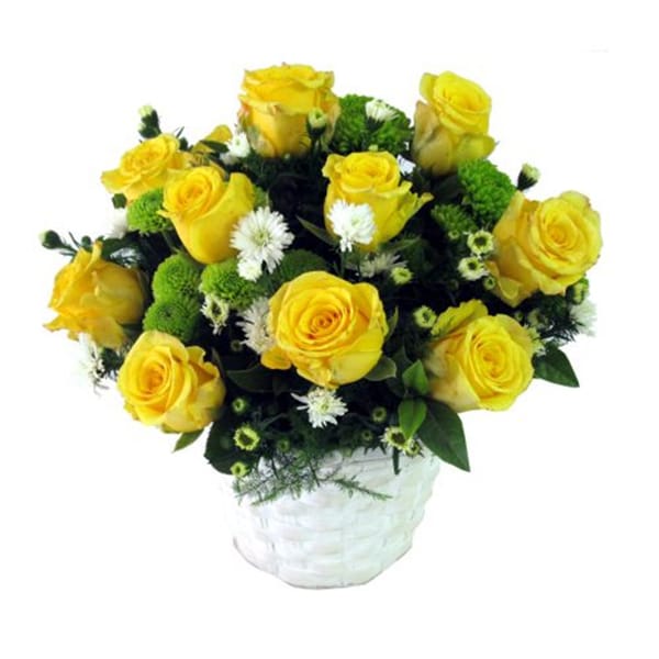 Buy/Send Emma Yellow Online | IGP | ID1105172