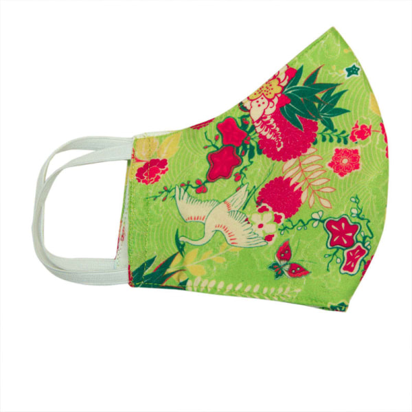 Buy/Send Face Mask Spring Break Online | IGP | JVS1250330