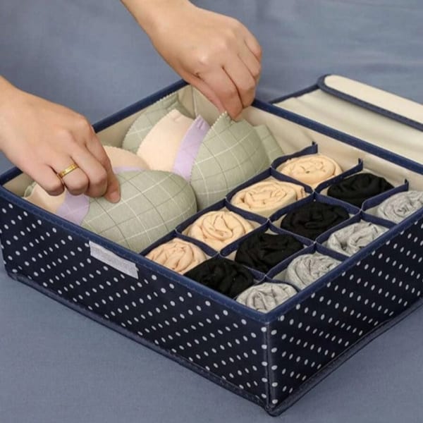 Buy/Send Garment Organizer - Lingerie - Large - Single Piece Online ...