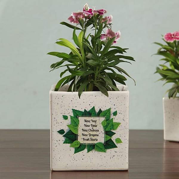 Go Green Personalized Planter Pot Set: Gift/Send Home and Living Gifts ...