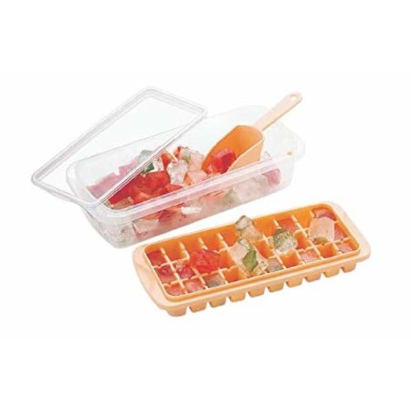 Buy/Send Ice Tray Box Single Piece Online | IGP | JVS1216867