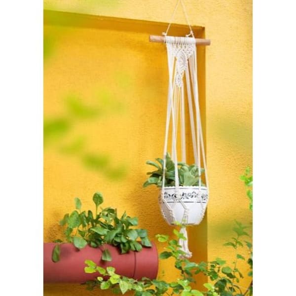 Buy/Send Macrame - Wall Hanging Plant Holder Online | IGP | JVS1233795