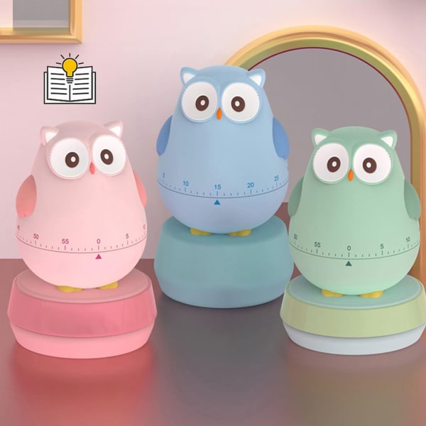 Buy/Send Mechanical Timer Owl Assorted Single Piece Online | IGP ...