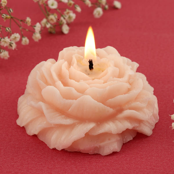 Buy/Send Peach Rose Candle Online | IGP | JVS1198743