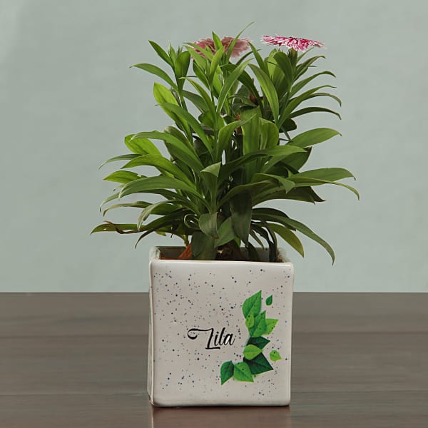 Personalized Ceramic Planters Set: Gift/Send Home and Living Gifts ...