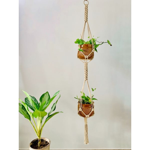 Buy/Send Plant Hanger - The Double Snake Online | IGP | JVS1232416