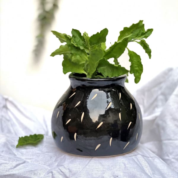 Buy/Send Planter - Flat Pot - Black - Single Piece Online | IGP ...