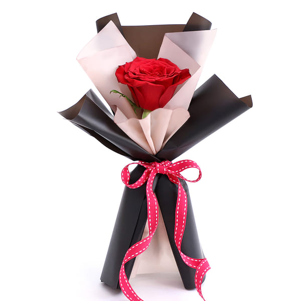 Buy Send Single Rose Bouquet Online IGP JVS1203647 Buy Send Single Rose Bouquet Online IGP JVS1203647
