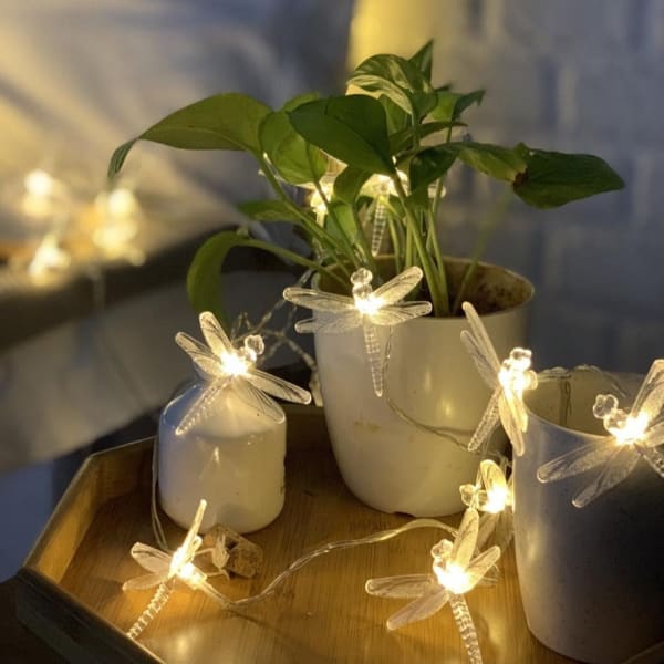 Buy/Send String Lights Dragon Fly 3 Meter Online | IGP | JVS1217617
