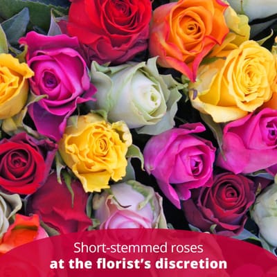Buy/Send 12 short stemmed roses Online | IGP | ID1352986