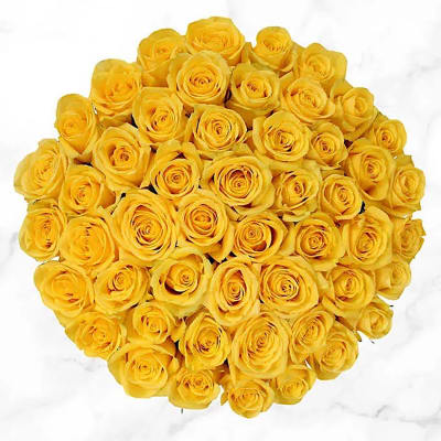 Buy/Send 50 Stem Yellow Roses Online | IGP | JVS1281045