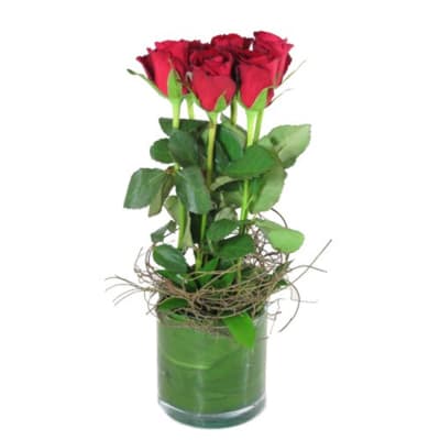 Buy/Send 6 Red Roses in Vase Online | IGP | ID1058493
