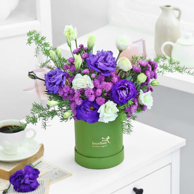 Buy/Send A Violet Wish - Aspire Online | IGP | JVS1275143