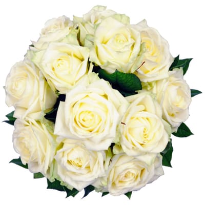 Buy/Send Affection White Roses Online | IGP | ID1282543