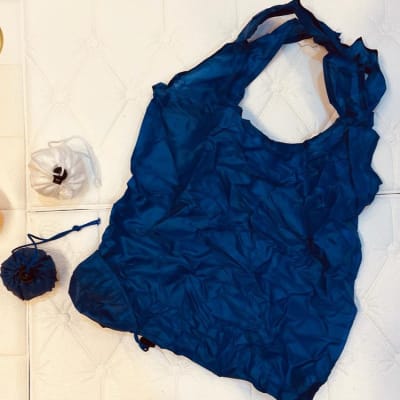 Buy/Send Bag - Foldable - Assorted - Single Piece Online | IGP | JVS1234570