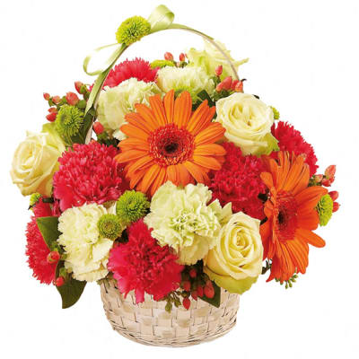 Buy/Send Basket arrangement Online | IGP | ID1056483