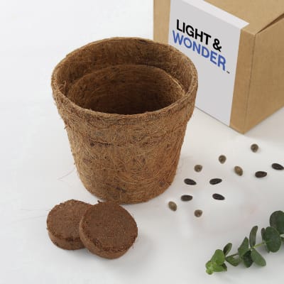 Buy/Send Brown Round Coco Pot Online | IGP | JVS1204811