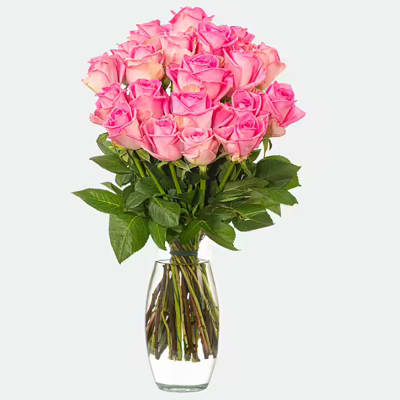 Buy/Send Bunch Of 20 Pink Fairtrade Roses With Vase Online | IGP ...
