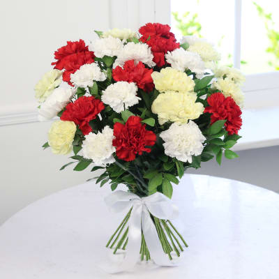 Buy Carnations Online & Get Same Day Delivery in India | IGP.com