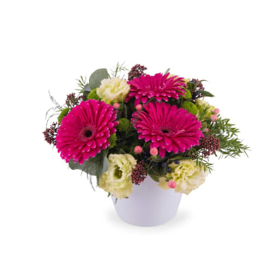 Buy/Send Centrepiece of Fuchsia Gerbera Daisies Online | IGP | ID1088879