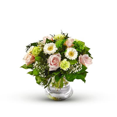 Buy/Send Chloe Online | IGP | NID1385912