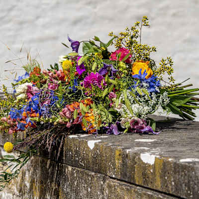 Buy/Send Colour splendor Online | IGP | NID1393027