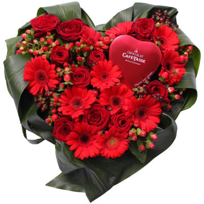 Buy/Send Delphine Online | IGP | ID1348434