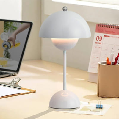 Buy/Send Desk Lamp - Flower Pot - Assorted - Single Piece Online | IGP ...
