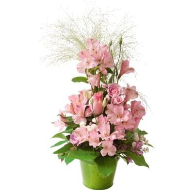 Buy/Send Emoi Online | IGP | ID1087593