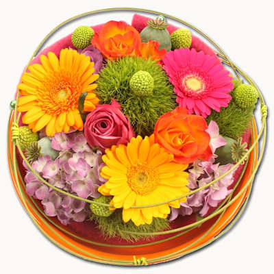 Buy/Send Farby Online | IGP | NID1362248