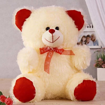 Buy/Send Fluffy Soft Teddy Bear Online | IGP | L11007513