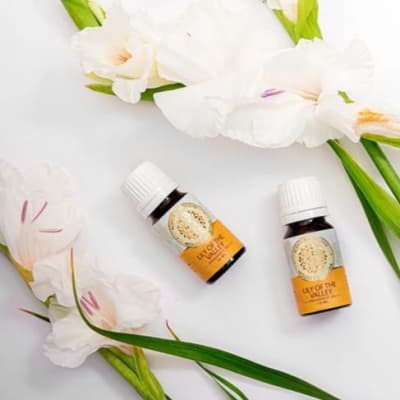 Buy/Send Fragrance Oil Scents And Emotions 10ml Online | IGP | JVS1231974