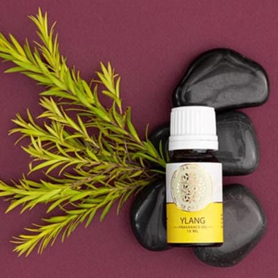 Buy/Send Fragrance Oil Scents And Emotions 10ml Online | IGP | JVS1231975
