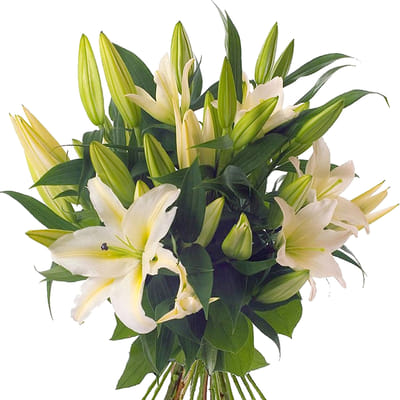 Buy/Send Fragrant White Lily Bouquet Online | IGP | IP1117187