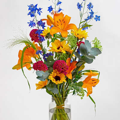 Buy/Send Garden Love Online | IGP | NID1363691