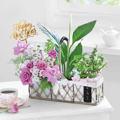 Buy/Send Garden of New Beginnings Online | IGP | JVS1271800