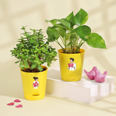 Good Luck Green Love Combo: Gift/Send Valentine's Day Gifts Online ...