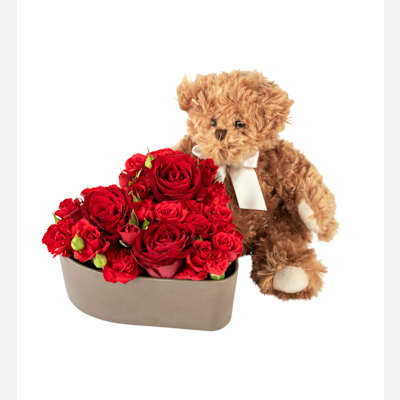 Buy/Send Hugs from Teddy Red 242665 Online | IGP | NID1392083