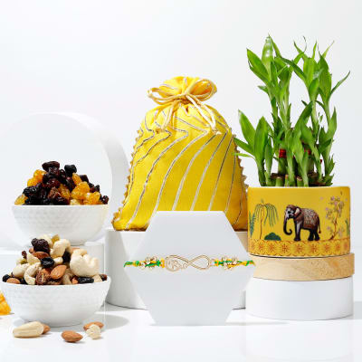 Buy/Send Infinity Symbol Rakhi And Bamboo Plant With Dry Fruits Online ...