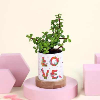 Jade Plant In a Personalized Red Heart Pot: Gift/Send Valentine's Day ...