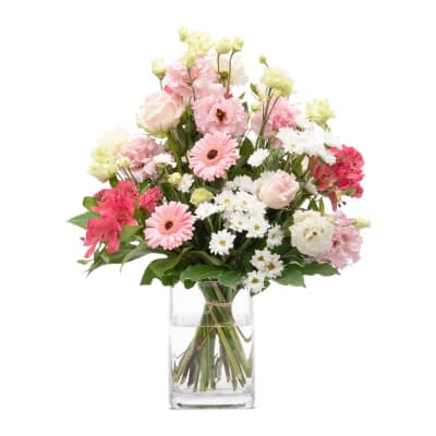 Order Julia Online at Best Price, Free Delivery|IGP Flowers